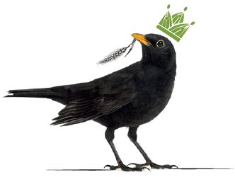 Merle - Atlantique Boissons